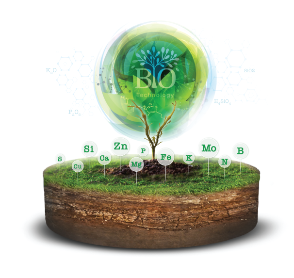 ITC Biotech - International Technological Consultant